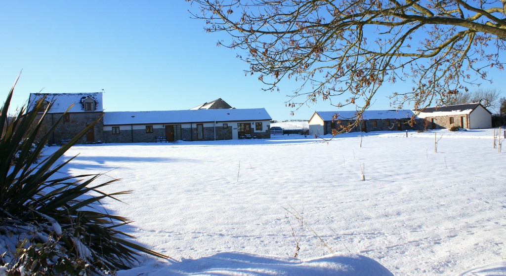 Christmas on Anglesey - Cerrig y Barcud Holiday Cottages